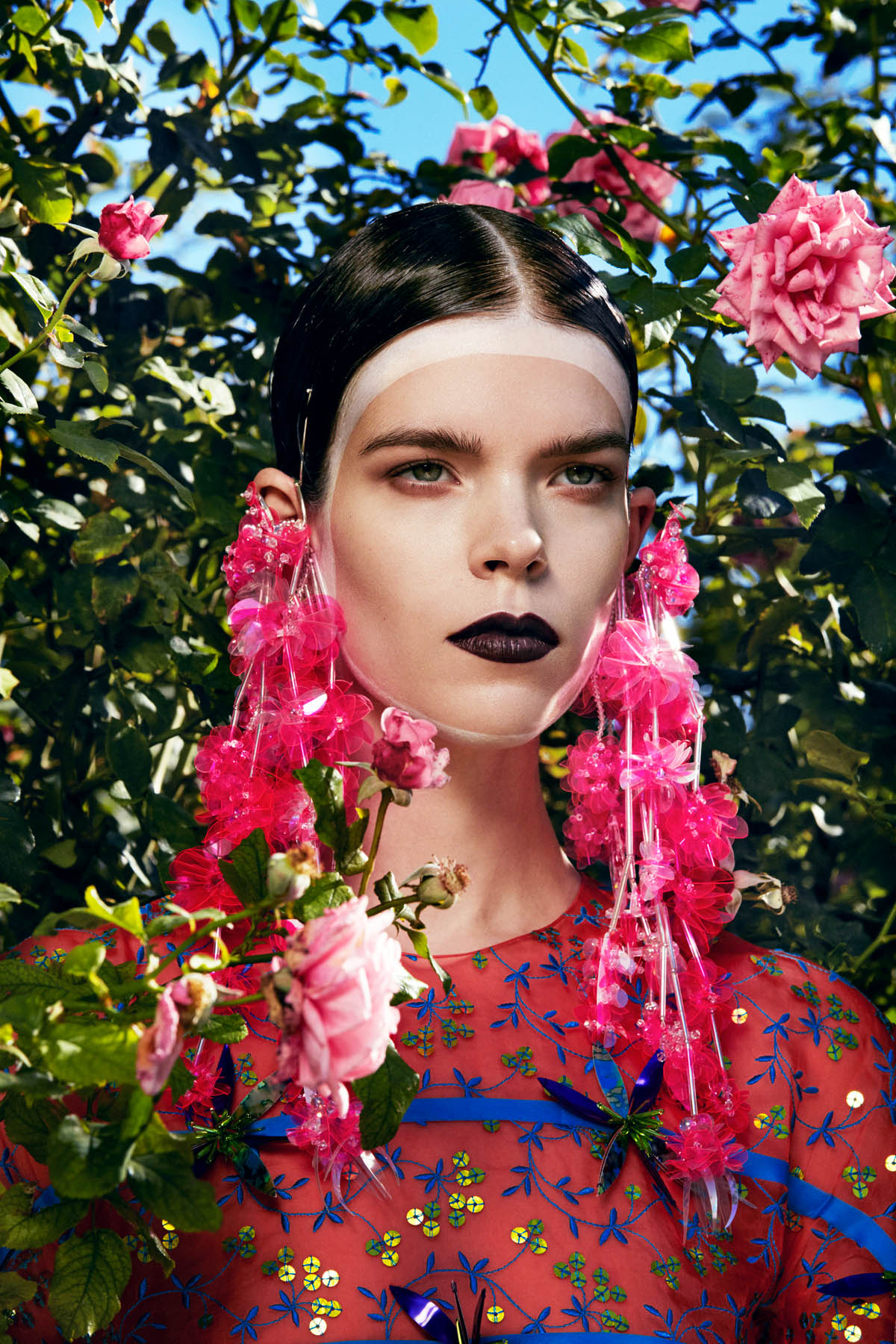 16_Vogue_Roses — JUCO Photo